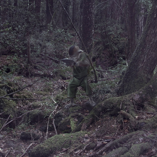 Life of a Mimic - Asymptote