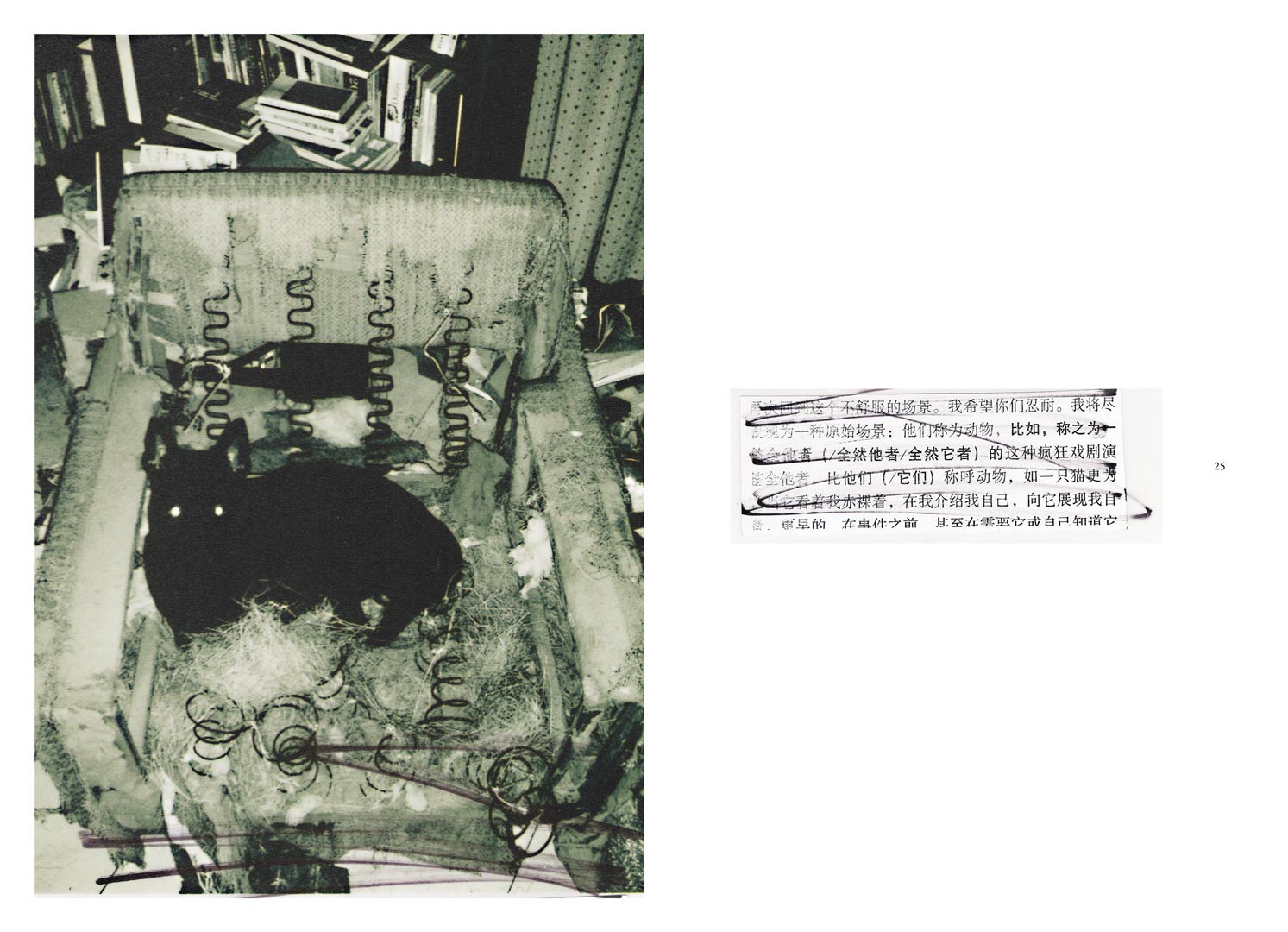 Cross it Out, Cross it Out, Cross it Out - Asymptote