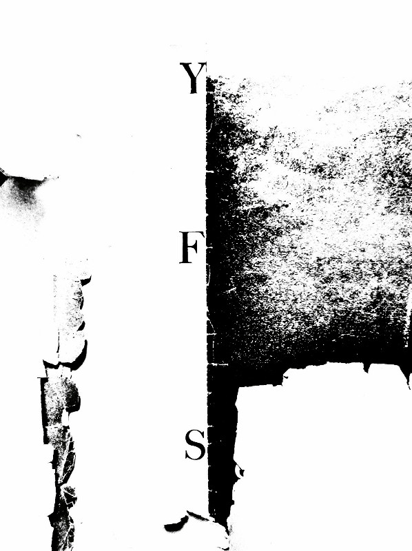 hiromi suzuki, Invisible Poetry - Asymptote