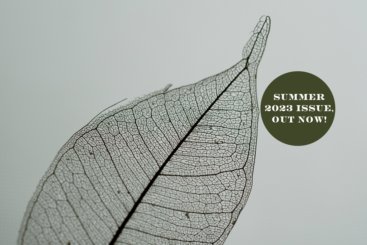 An interview with Anne Carson and Robert Currie - Asymptote