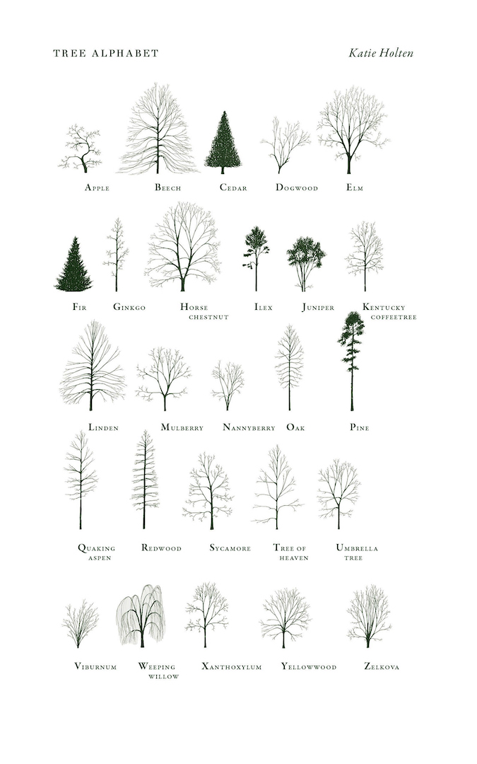 Rewilding: Katie Holten and The Language of Trees - Asymptote
