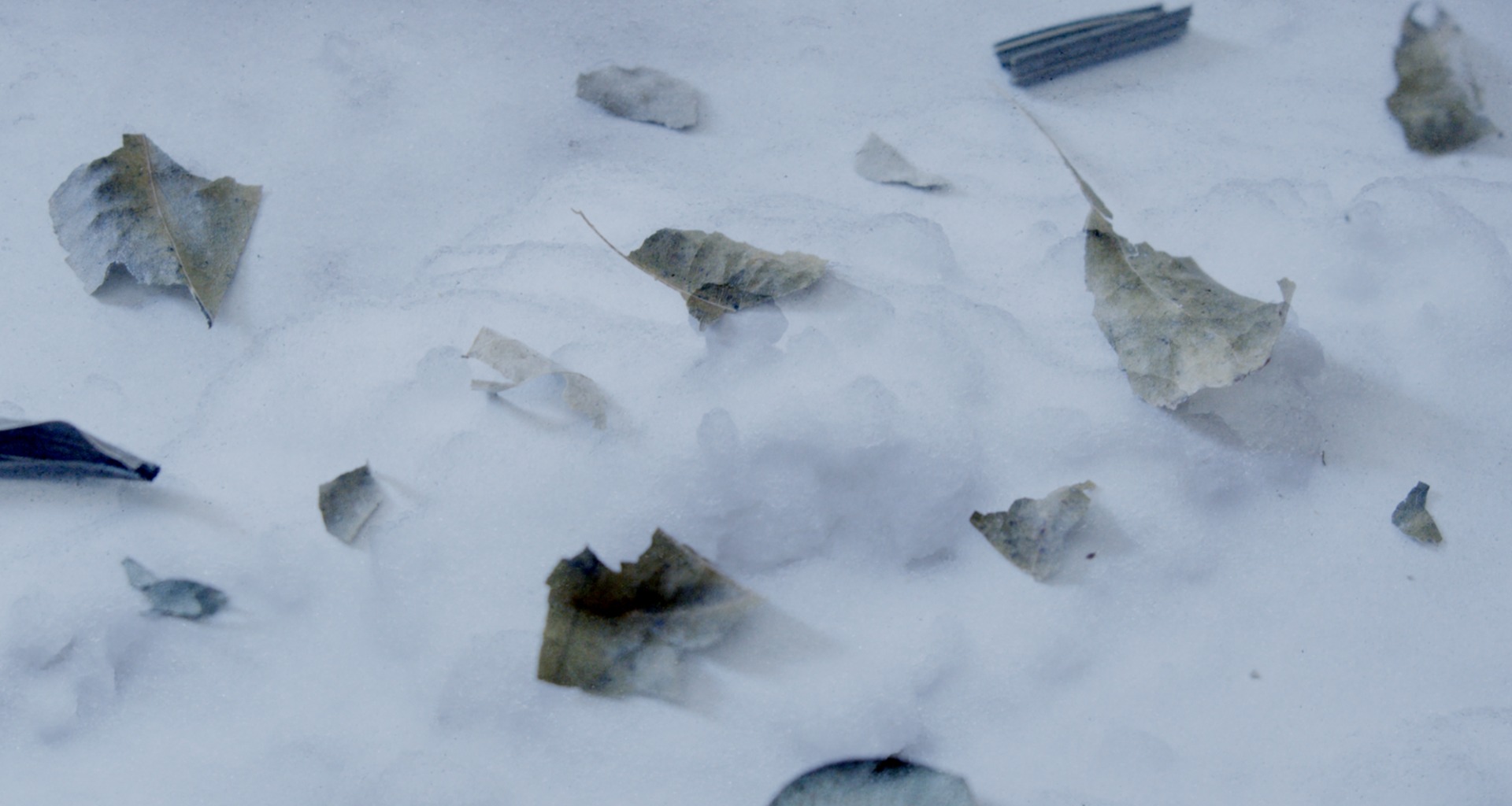 Spitting Sutures - Asymptote