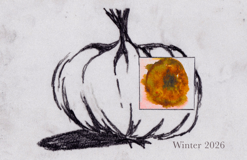 Áurica speculari (Fragmento) - Asymptote